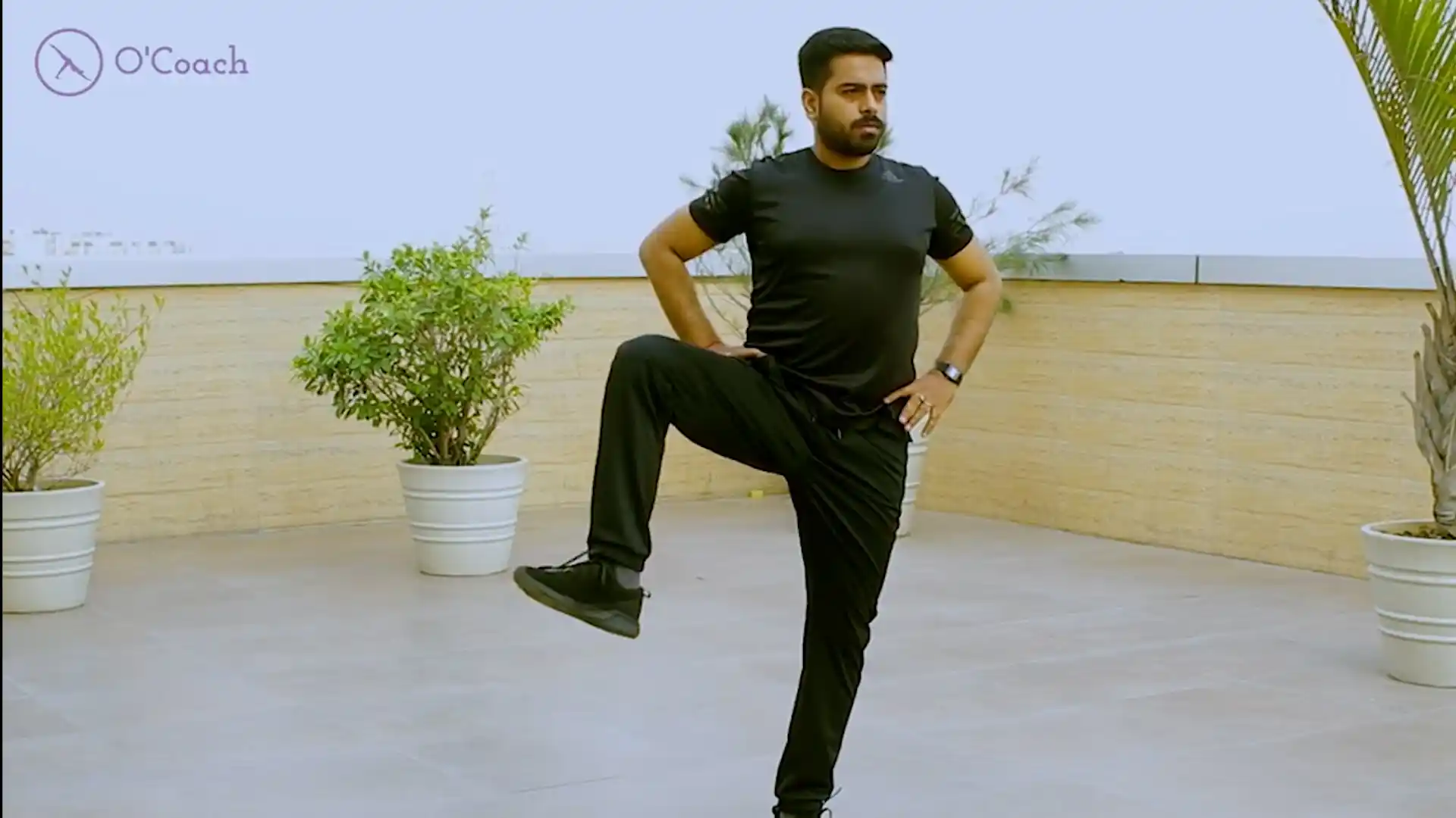 Hip Rotations Exercise [Infographic] - O'Coach Blog - HIIT, Yoga, Rehab ...