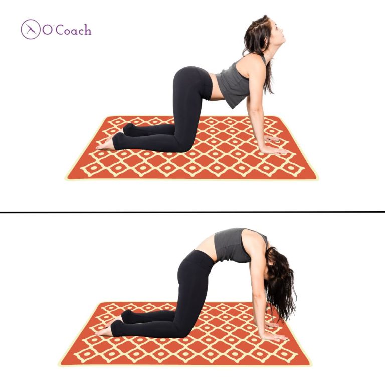 Tutorial: Pull Day Cool-Down! - O'Coach Blog - HIIT, Yoga, Rehab ...