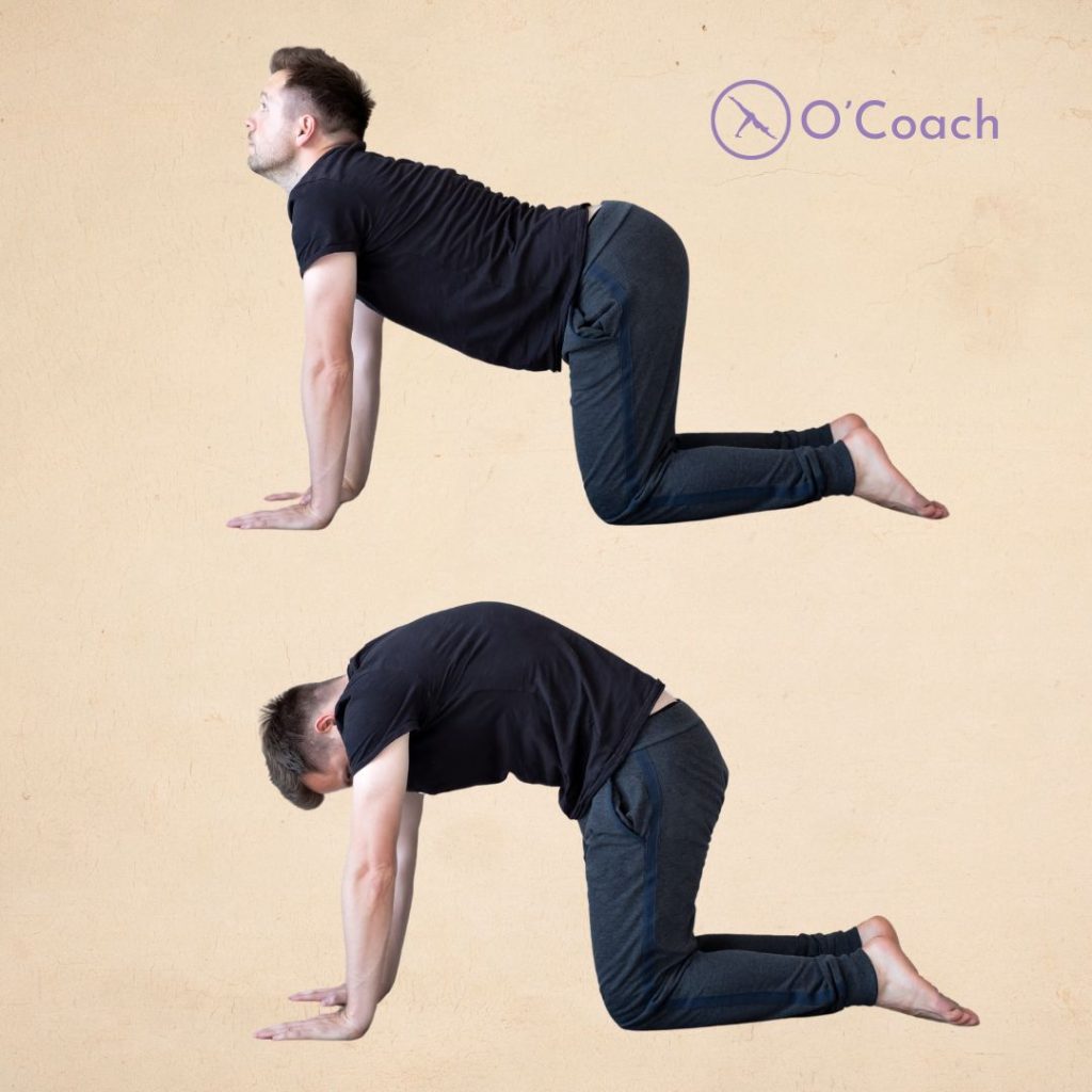 Tutorial: Back and Biceps Warm-Up! - O'Coach Blog - HIIT, Yoga, Rehab ...