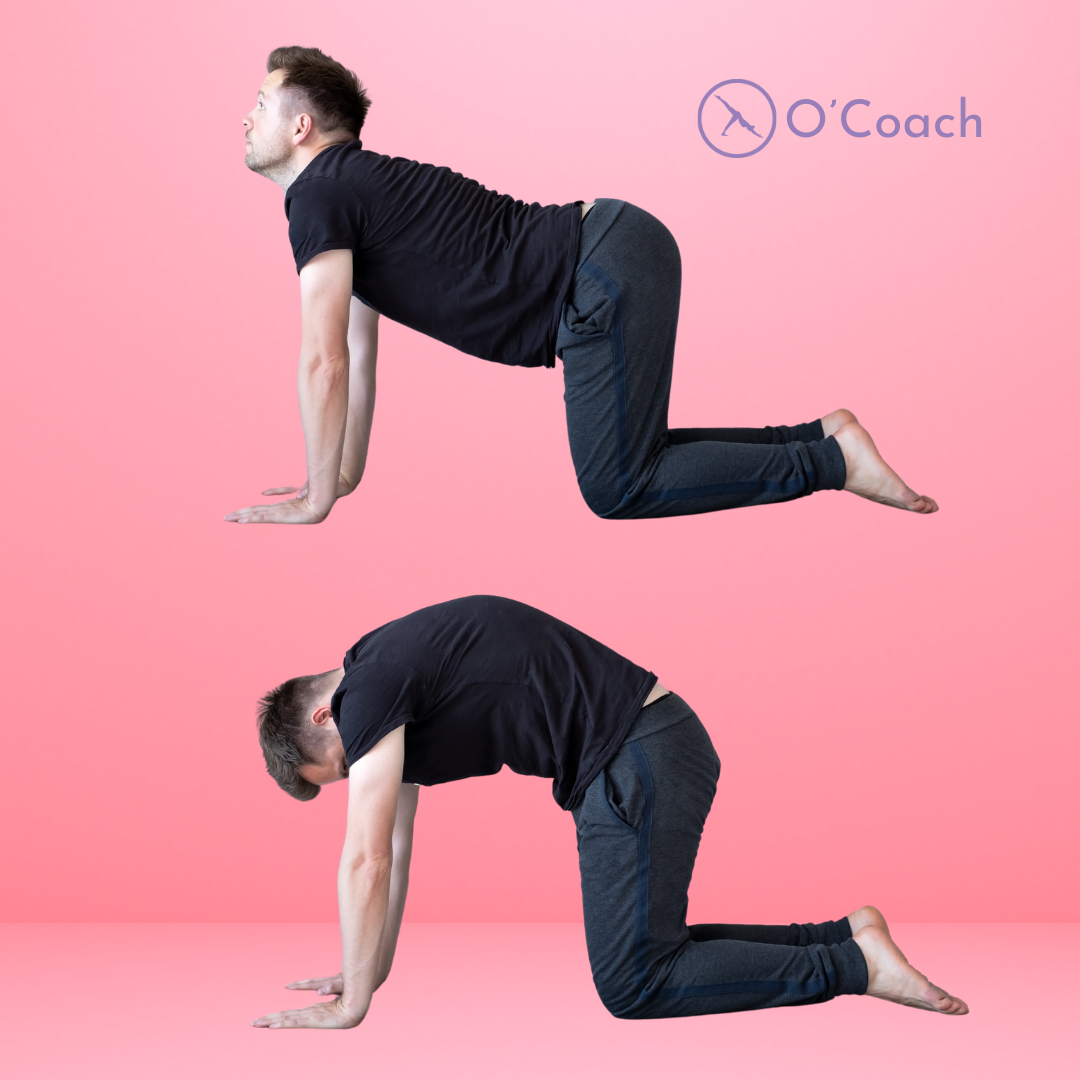 Tutorial: Back and Biceps Cool-Down! - O'Coach Blog - HIIT, Yoga, Rehab ...